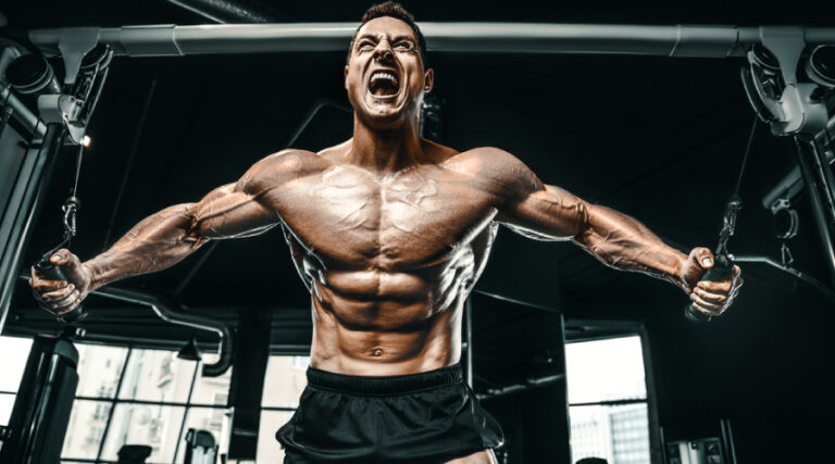 Best Chests in the Bodybuilding World - Healthkart