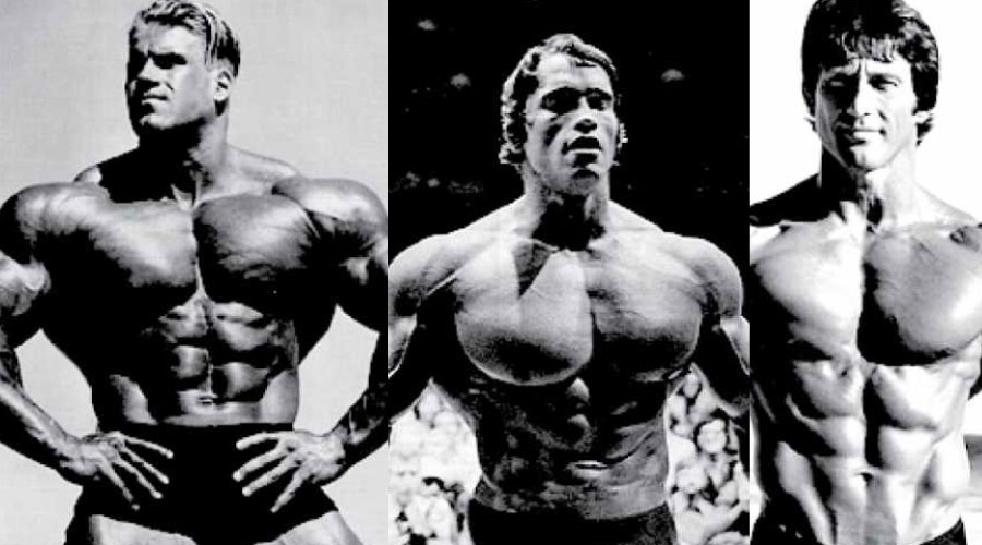 Body Types How To Diet And Workout Explained Blog Body Types How To Diet And Workout Explained Blog