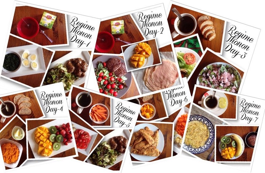 What is Thonon Diet? How To Follow The Thonon Diet Plan?