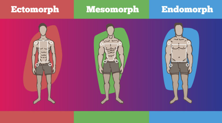 Ectomorph Endomorph And Mesomorph Whats Your Body Type