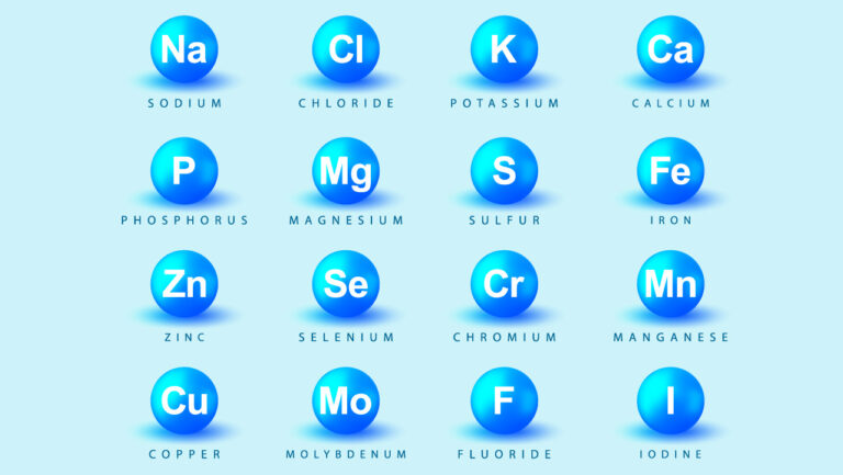 What are the Functions Of Minerals: Their Types and Sources