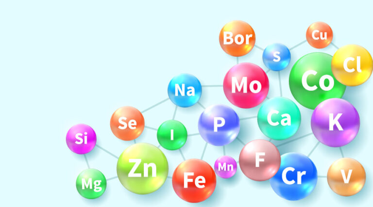 What are the Functions Of Minerals: Their Types and Sources