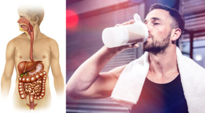 Protein Absorption: Maximizing Nutrient Uptake- HealthKart