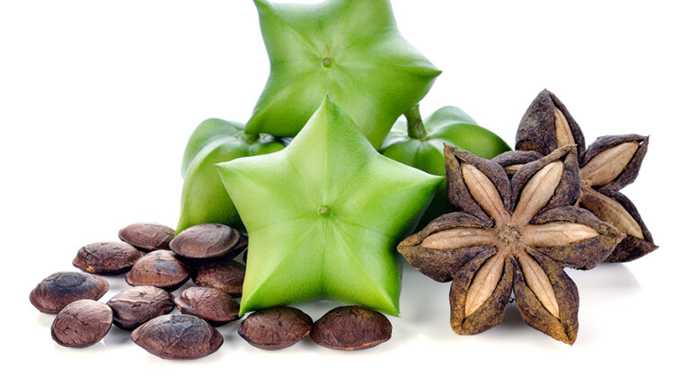 Benefits Of Sacha Inchi You Must Know - HealthKart