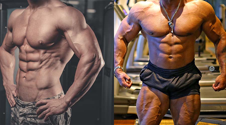 Bulk Body Vs Lean Body What You Should Know HealthKart Bulk Body Vs Lean Body What You Should Know HealthKart