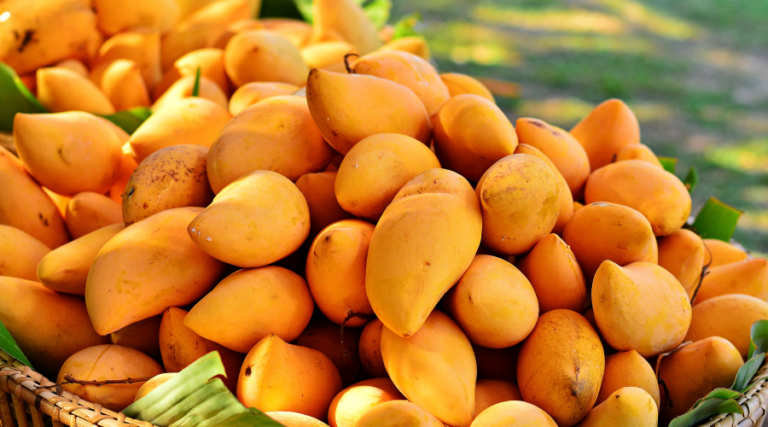 African Mango and Weight Loss: All You Need to Know - HealthKart