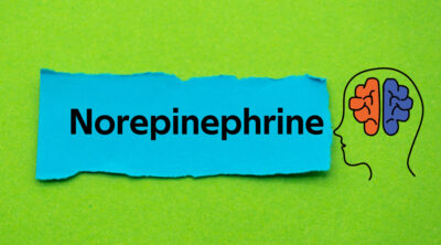 All about hormone norepinephrine – HealthKart