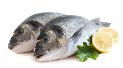 Which Fish Has Highest Protein: Read to Know - HealthKart