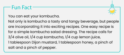 What is Kombucha? Know Its Origin and Ingredients - HealthKart