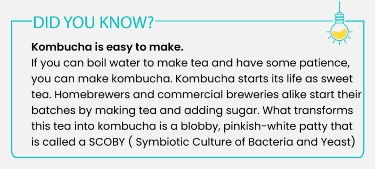What is Kombucha? Know Its Origin and Ingredients - HealthKart