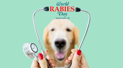 World Rabies Day: methods to deal with the disease - HealthKart
