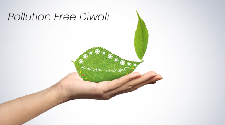 Pollution Free Diwali: know the impact of firecrackers