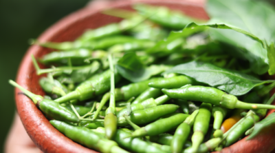 Benefits Of Green Chillies You Did Not Know About - HealthKart