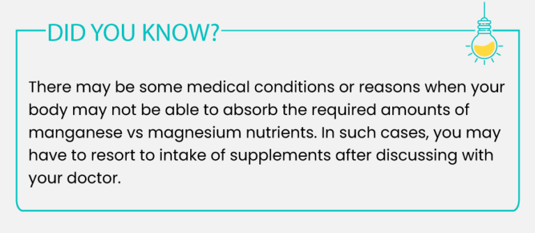 Manganese vs Magnesium: Everything You Need to Know