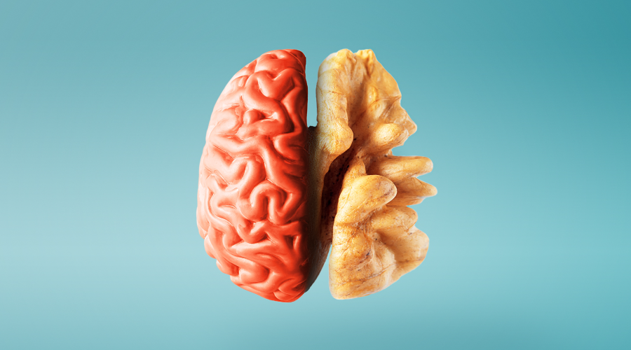 Foods That Look Like Body Parts They Are Good For - HealthKart