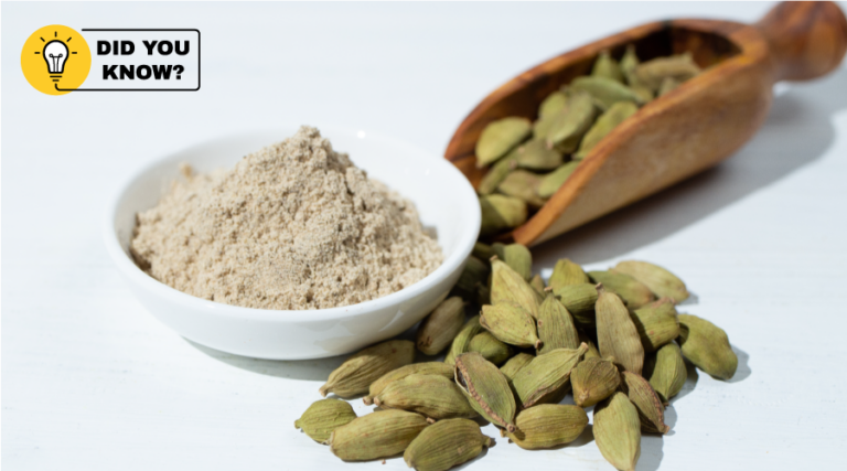 Benefits of Cardamom for Physical and Mental Well-being