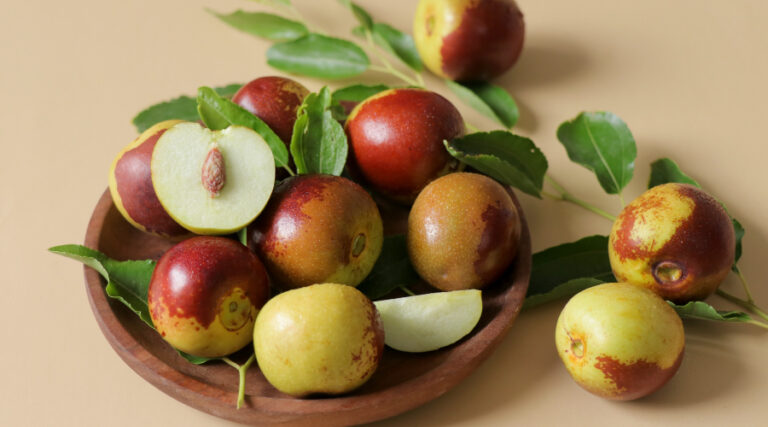 Jujube Fruit And Its Benefits You Did Not Know About - HealthKart