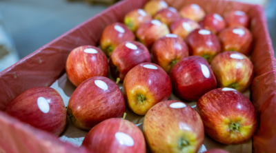 Stickers On Fruits: Deciphering What They Mean - HealthKart