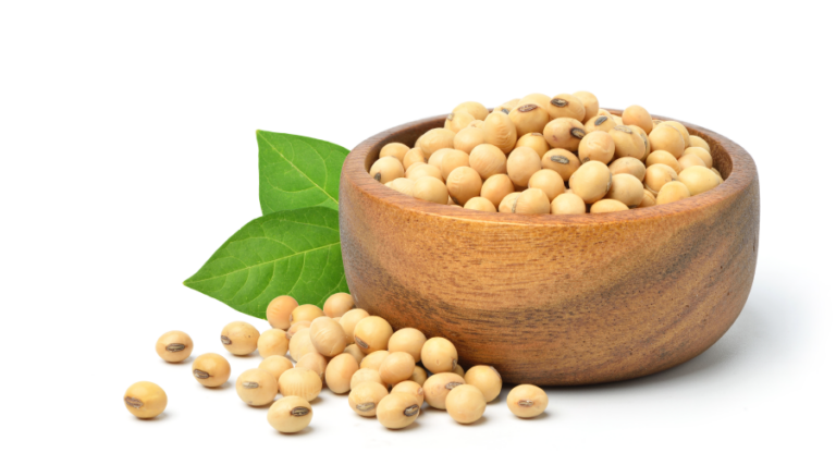 Soya Bean Curry Recipe: Healthy And Delicious - HealthKart