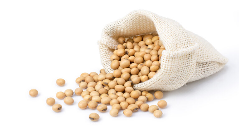 Soy Lecithin - Everything You Need to Know - HealthKart