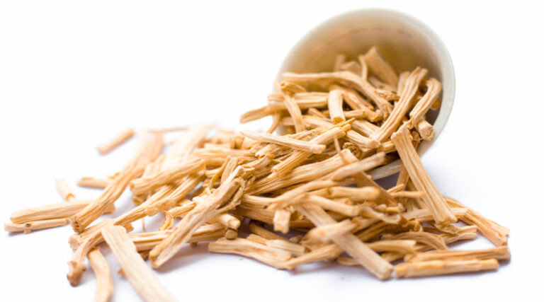 Exploring the Health Benefits of Asparagus racemosus (Shatavari)