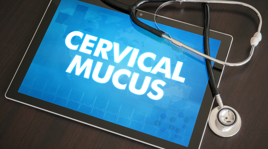 Cervical Mucus: What It Says About Your Health - HealthKart