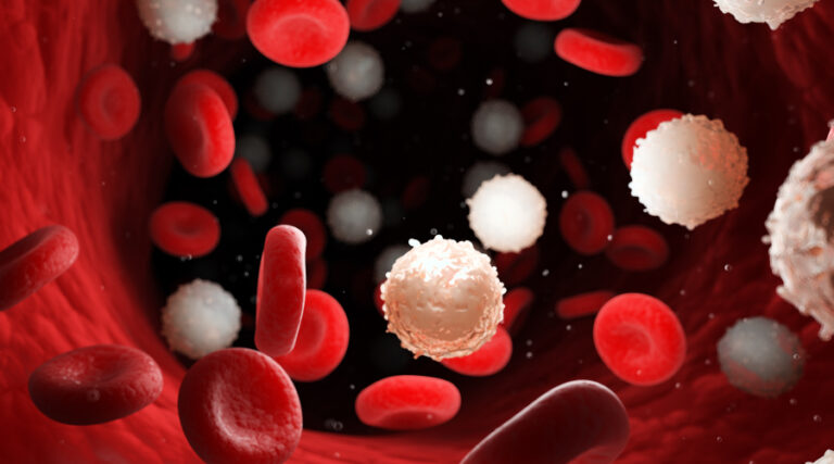 White Blood Cells: Key Role and Normal Levels - HealthKart